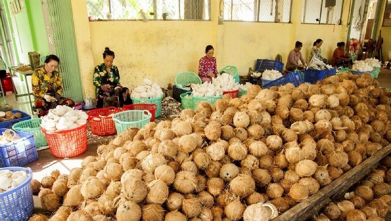 Ben Tre province boosts collective economy development