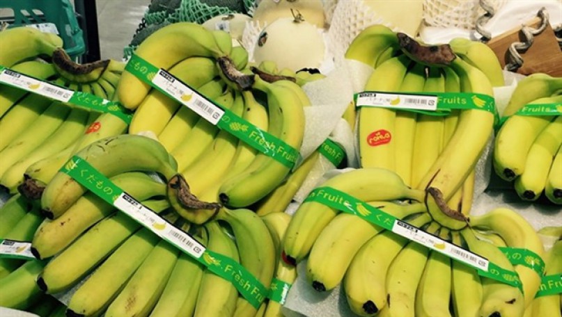 Exports to Japan and South Korea fall short of potential: MoIT