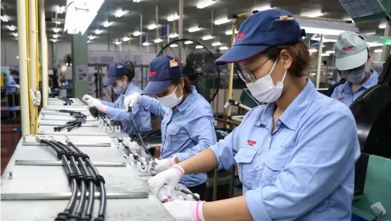 Key economic pillars show positive growth