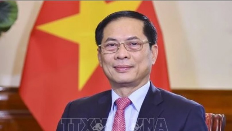 Diplomatic achievements in 2024 set stage for Vietnam’s new era: Deputy PM
